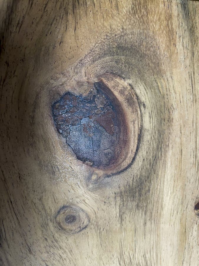 Knotholes and Defects in Wooden Panel Repaired with Wood Putty Stock ...