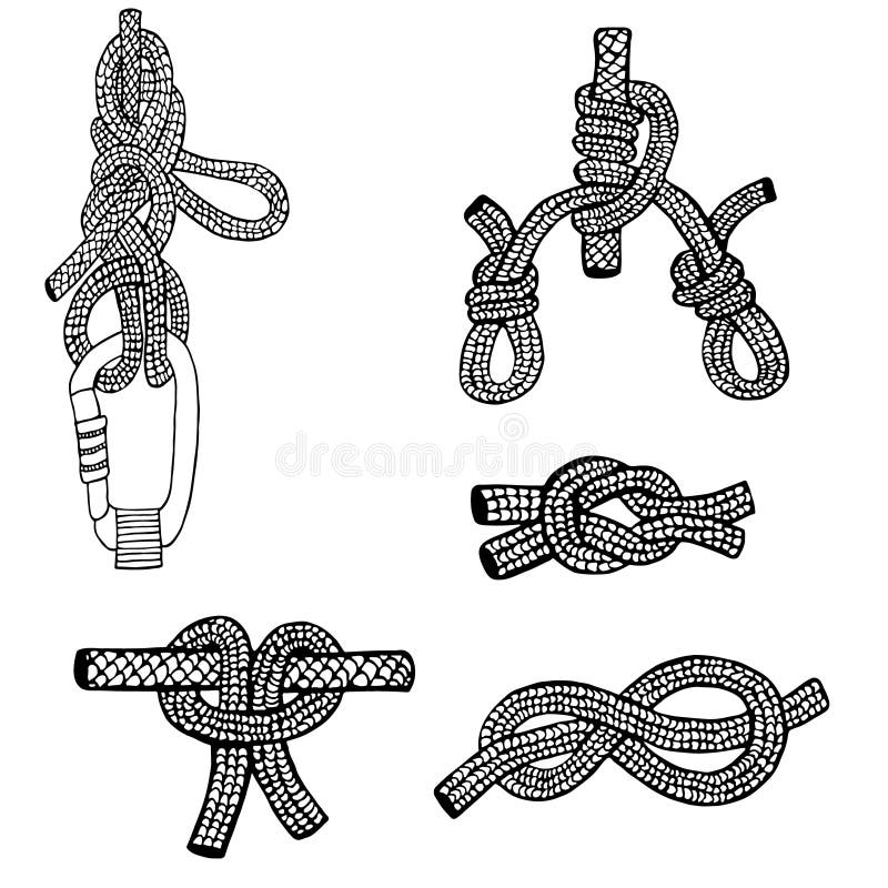 Knots Hand Drawn Sketched Vector Illustration. Stock Vector ...