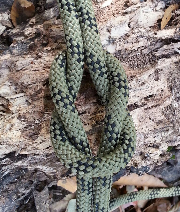 Knots and Rope stock photo. Image of knot, bushcraft - 46409630