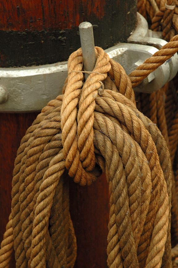 Knotted rope stock photo. Image of hang, knot, neatness - 526180