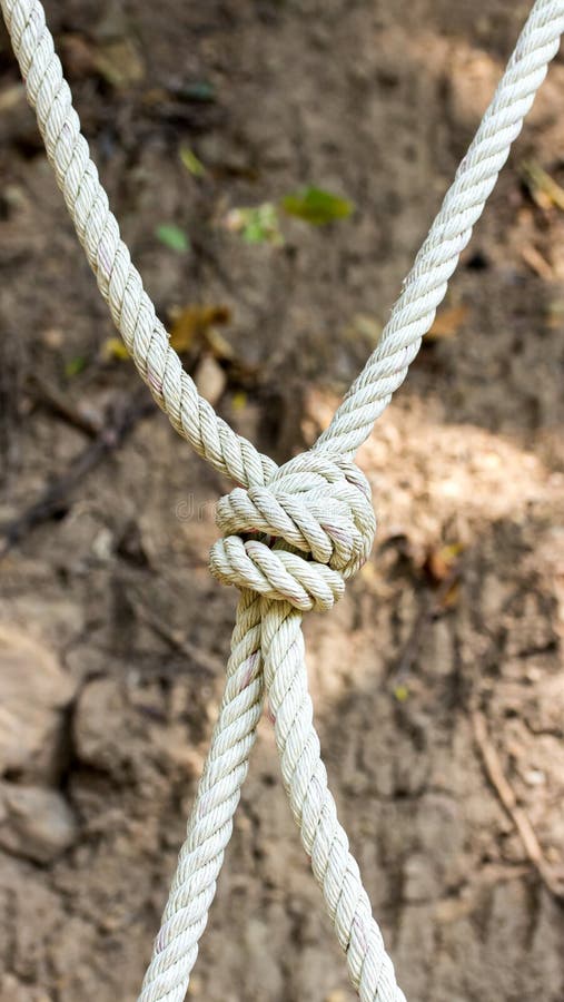 Knotted rope stock photo. Image of navy, line, shipping - 66519308