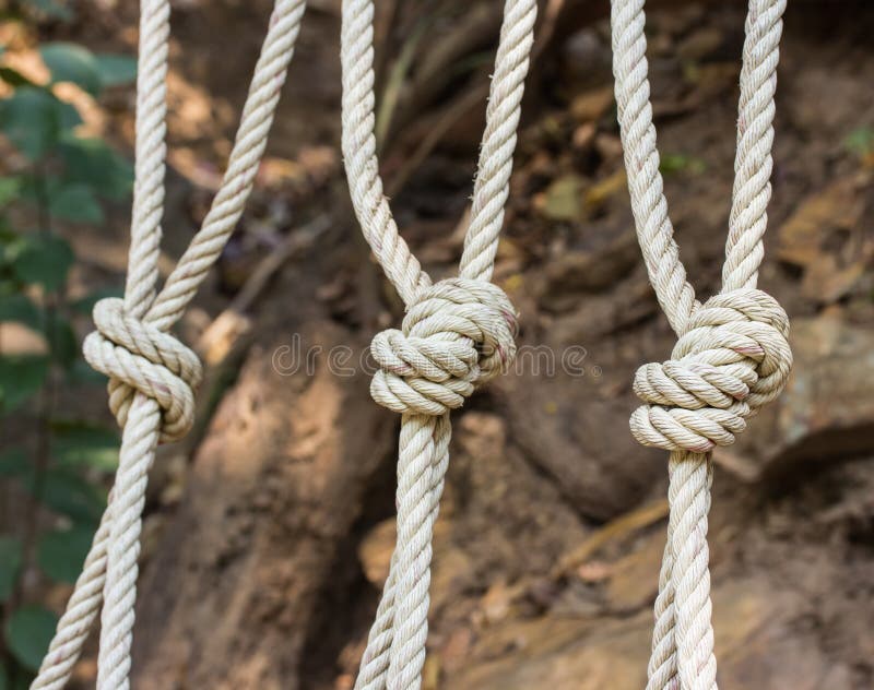Knotted rope stock image. Image of line, lasso, loop - 66519333