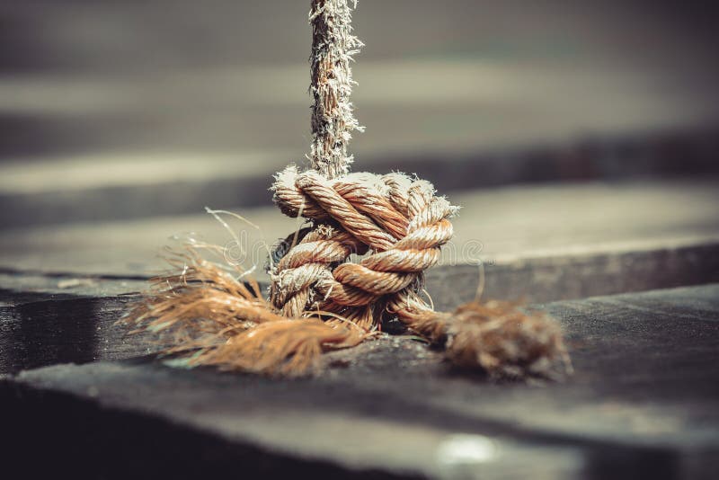 Knotted rope stock photo. Image of linked, safety, security - 13380728