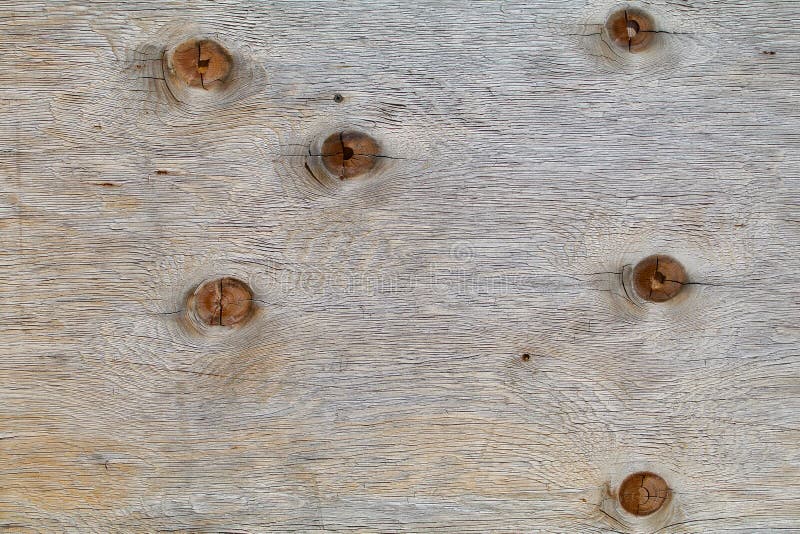 Knotty Wood Texture stock image. Image of design, sawn - 33227865