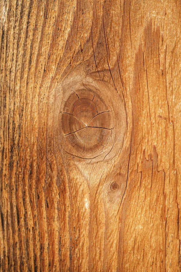 Knotty Wood Plank with Layers Stock Image - Image of conifer, plank ...