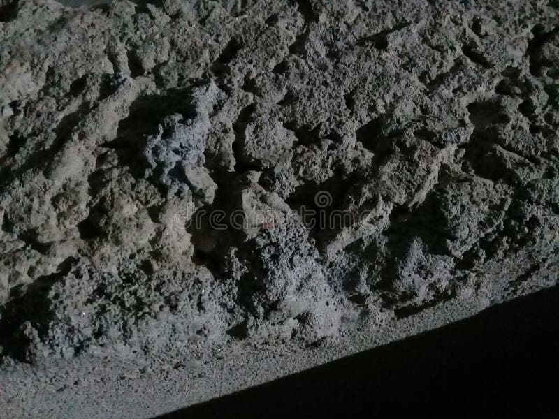 Plant leaf freezing, stock image. Image of wall, tree - 240676459