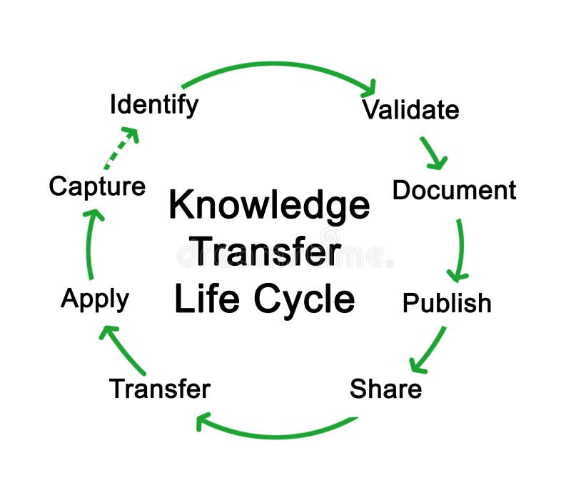 Knowledge Transfer Life Cycle Stock Illustration - Illustration of ...