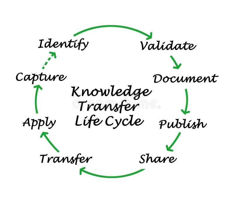 Knowledge Transfer Life Cycle Stock Illustration - Illustration of ...