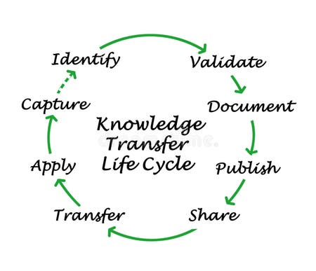 Knowledge Transfer Life Cycle Stock Illustration - Illustration of ...
