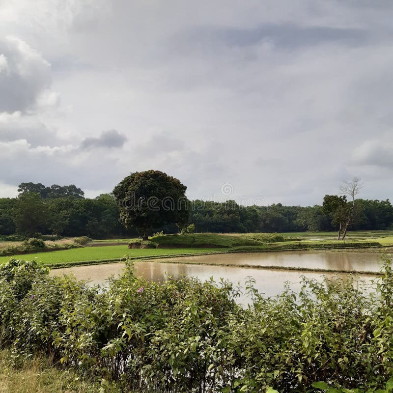 Knowledgeable Nature and Love Stock Image - Image of knowledgeable ...