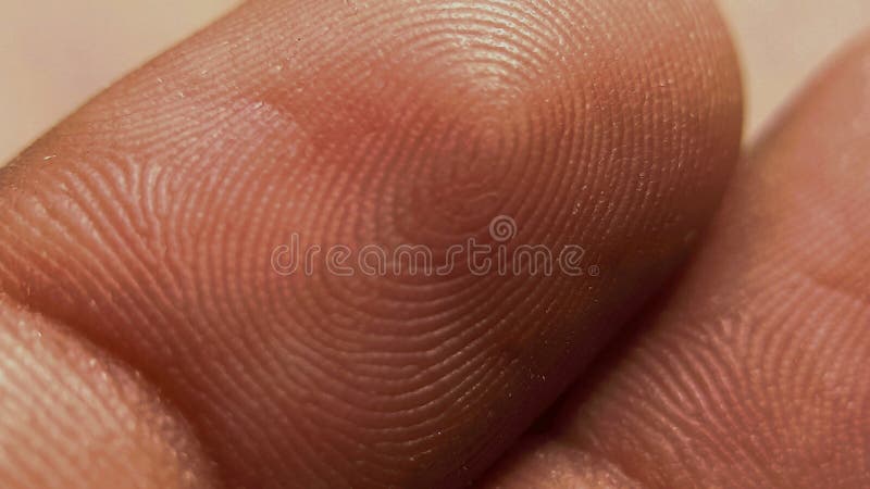 Knuckles on a Man& X27;s Fingers Stock Image - Image of petal, organ ...