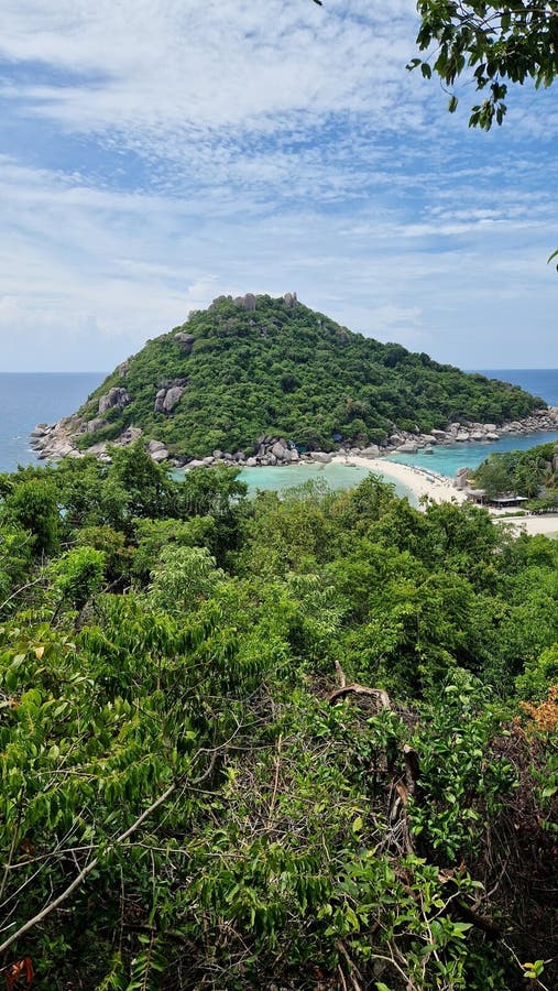 Ko Tao stock image. Image of flower, tropics, jungle - 289087023