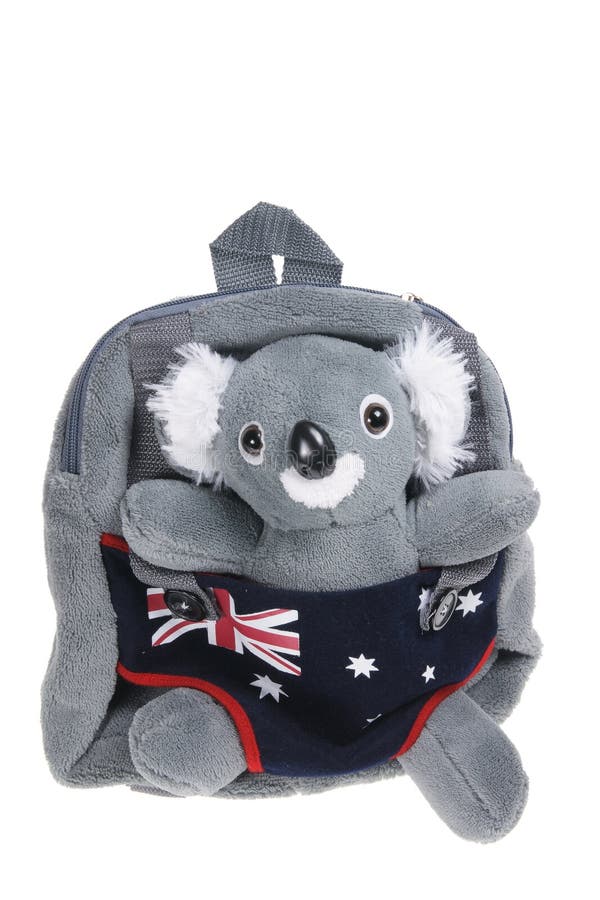 Koala Back Pack stock photo. Image of native, australia - 19876984