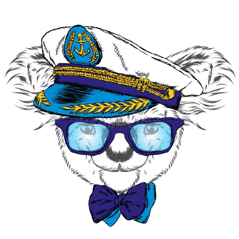 Captain Koala Stock Illustrations – 31 Captain Koala Stock ...
