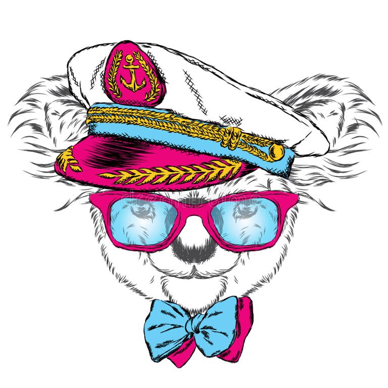 Koala in the Captain S Cap. Vector Illustration. Stock Vector ...