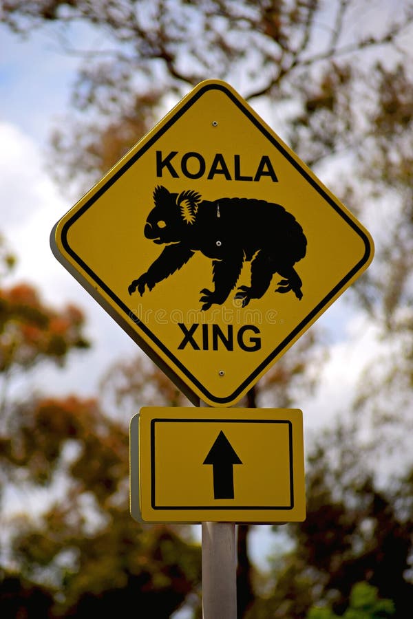 Koala crossing sign stock photo. Image of xing, safety - 61146470