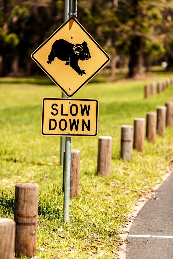 Koala Crossing sign stock photo. Image of black, australian - 39771230