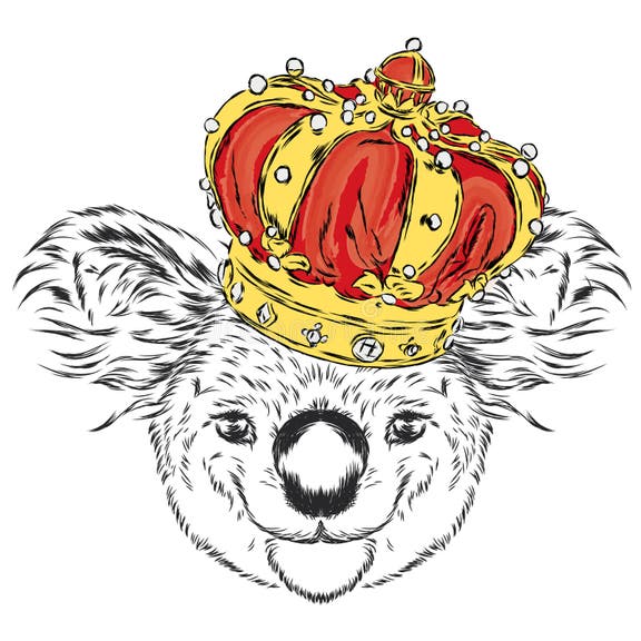 Koala in the Crown. Vector Illustration Stock Vector - Illustration of ...