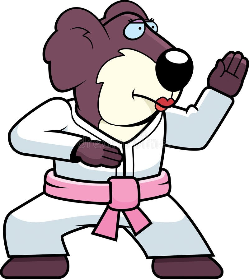Koala Karate Taekwondo Punch Martial Arts Animal Plana Personaje De ...