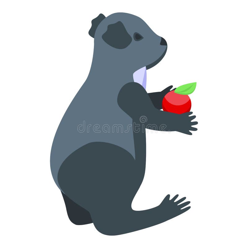 Koala Eat Apple Icon Isometric Vector. Cute Bear Stock Vector ...
