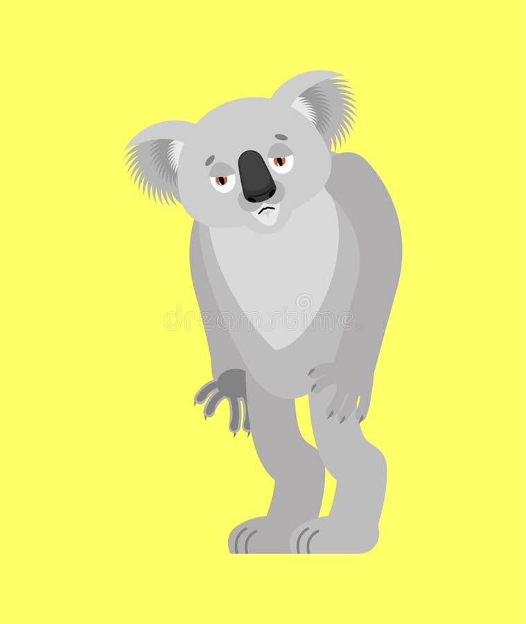 Sad Koala with Tear Vector Illustration Stock Vector - Illustration of ...