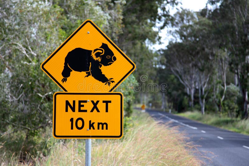 Koala sign stock photo. Image of sign, road, roadway - 15625482