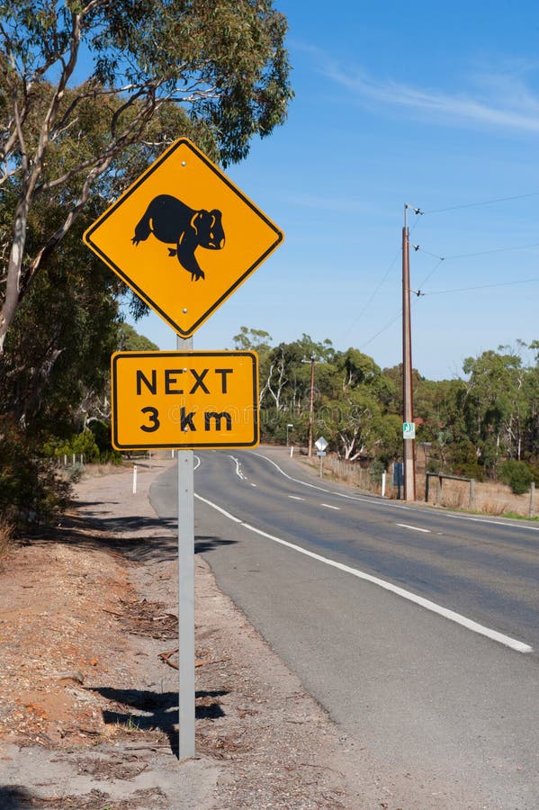 Koala sign stock photo. Image of sign, road, roadway - 15625482