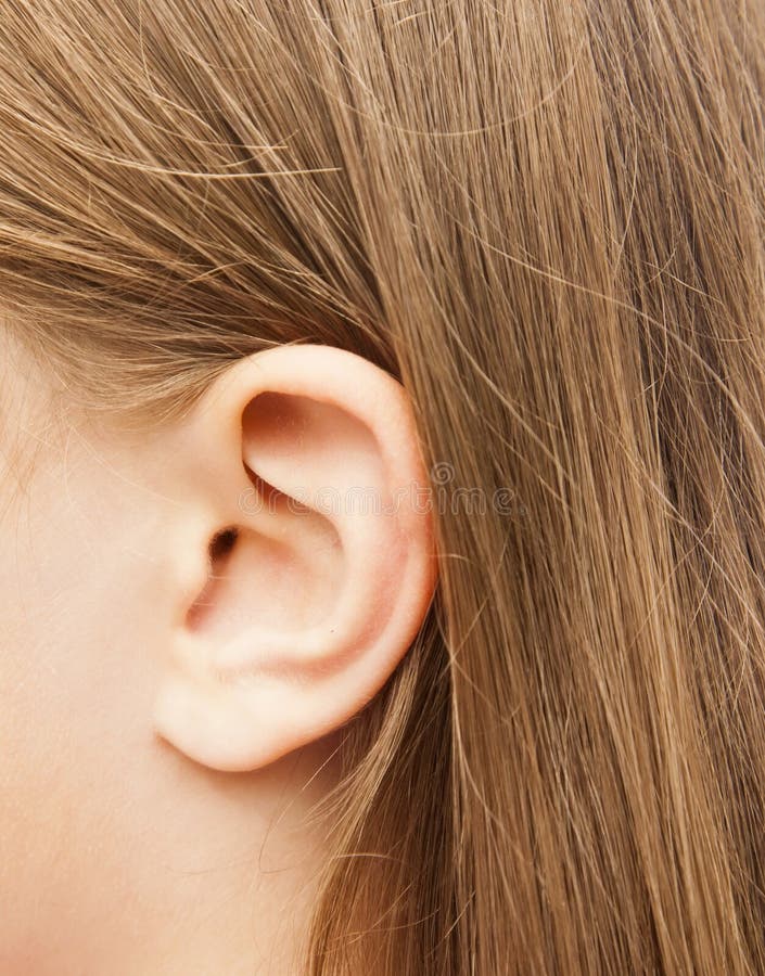 Kobiety ` s ucho zdjęcie stock. Obraz złożonej z auricles - 80682388
