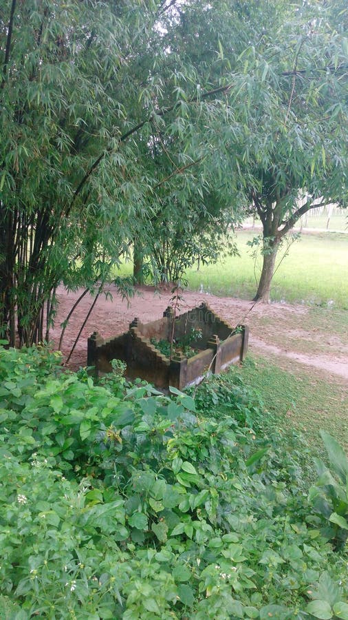 Kobor stock image. Image of kobor, died - 95183177