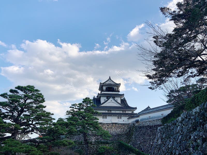 Kochi Castle in Kochi Prefecture, Japan. Stock Photo - Image of ...