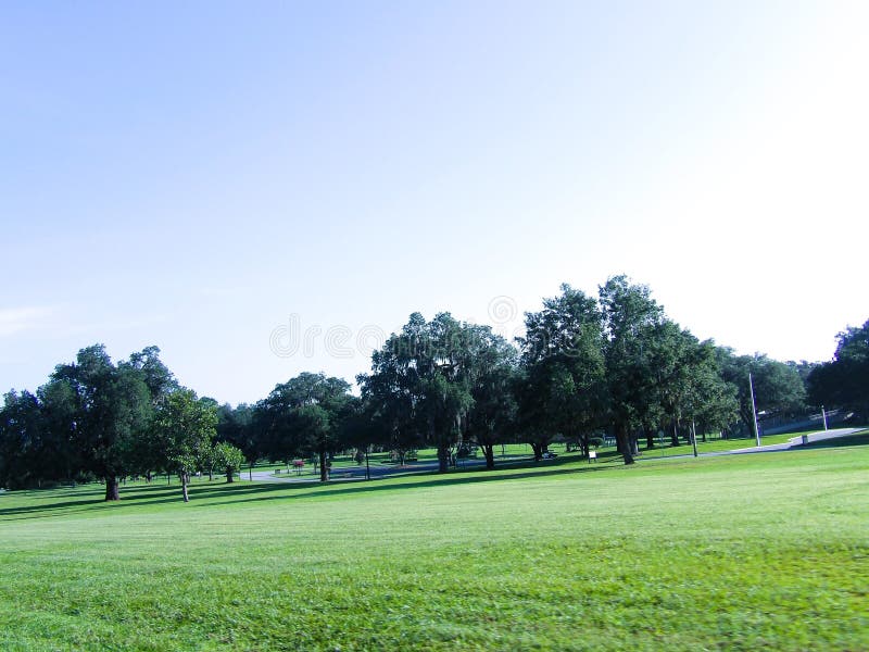 Greenery Scene Lush Green and Trees 3.96 Stock Photo - Image of tree ...