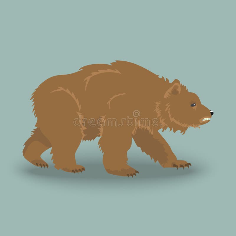 Kodiak Bear stock vector. Illustration of animal, predator - 34626952