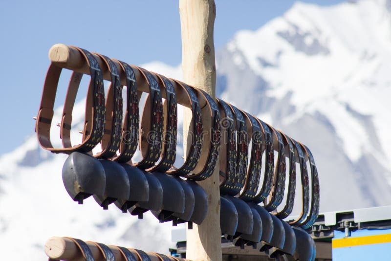 Koefestival in Oostenrijk stock afbeelding. Afbeelding bestaande uit ...
