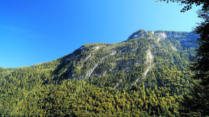 Koenig see Germany stock image. Image of sommer, haus - 85268729