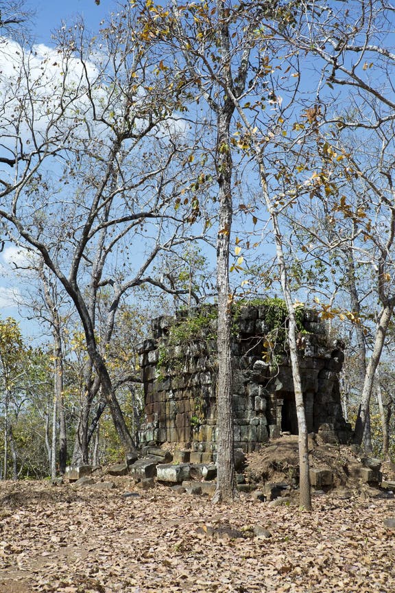 Koh Ker Temple Complex Ruin, Cambodia Stock Photo - Image of root ...