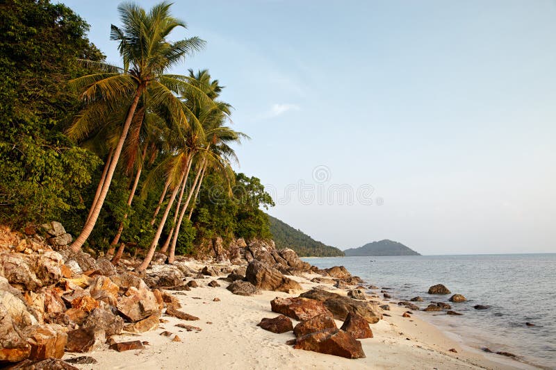 Female Tourist Lamai Beach Koh Samui Stock Image - Image of ocean ...