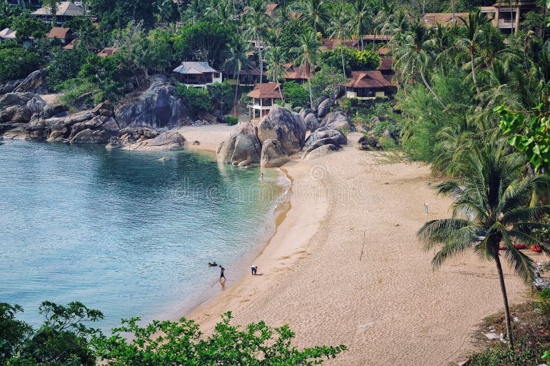 Sea shell decoration stock image. Image of thailand, ornamental - 38470425