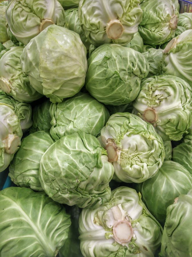 Vorangegangener Kohl Bild. Bild: 83061776