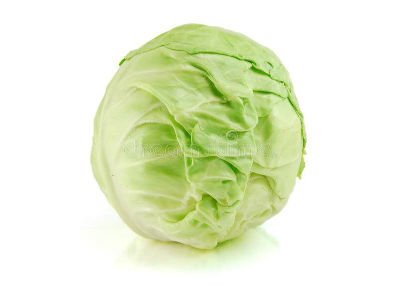 Kohl stockbild. Bild von herbst, garten, betrieb, frisch - 13265357