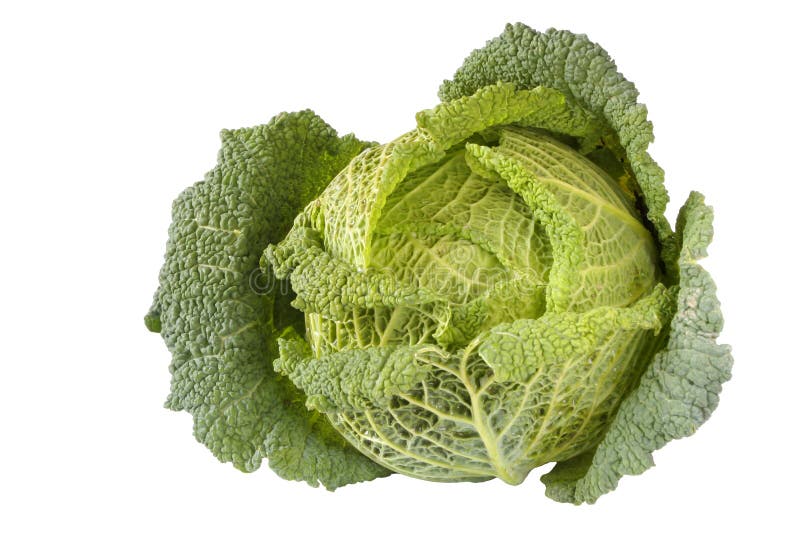 Kohl stockfoto. Bild von chou, grün, kohl, kochen, cole - 1663718