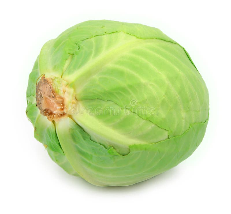 Kohlkopf stockbild. Bild von garten, salat, getrennt, hintergrund - 3515105
