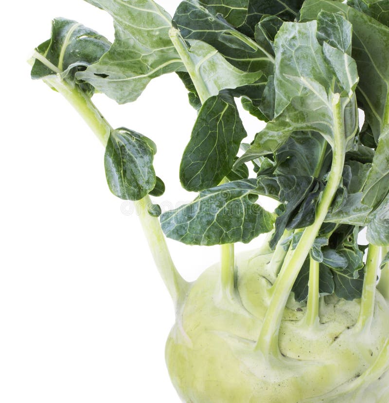 Nookal Stock Photos - Free & Royalty-Free Stock Photos from Dreamstime