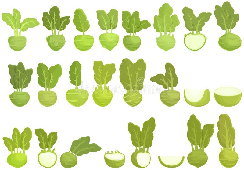 Kohlrabi Icons Set Cartoon Vector. Agriculture Cabbage Stock Vector ... Kohlrabi Icons Set Cartoon Vector. Agriculture Cabbage Stock Vector ...