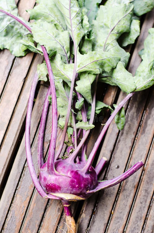 Purple kohlrabi stock image. Image of kashmiri, kohlrabi - 31993607