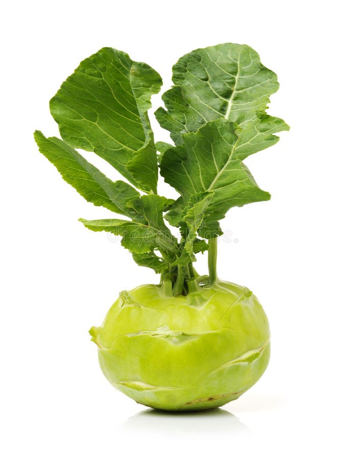 Kohlrabies stock photo. Image of healthy, white, gardening - 114513714