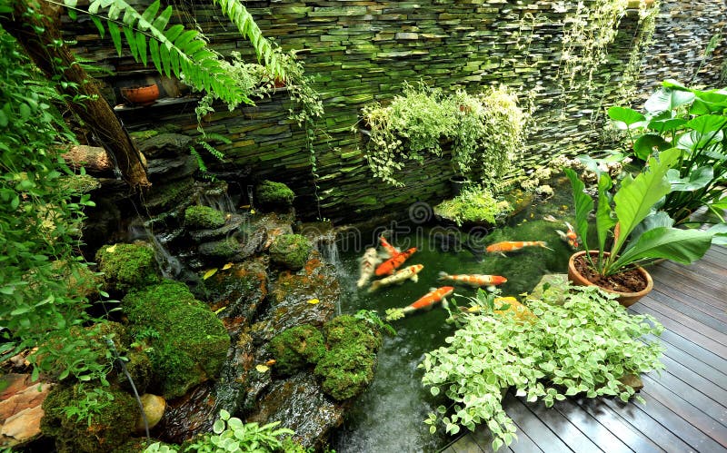 Zen garden, Koi pond stock image. Image of aquatic, nature - 9169301