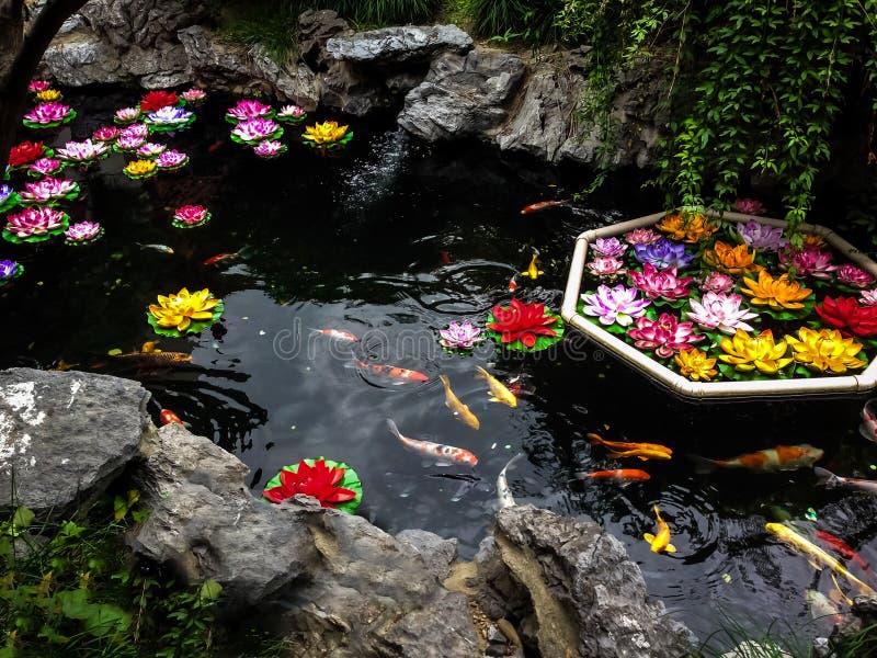 Koi Fish and Flowers in a Pond - Shanghai, China Stock Image - Image of ...