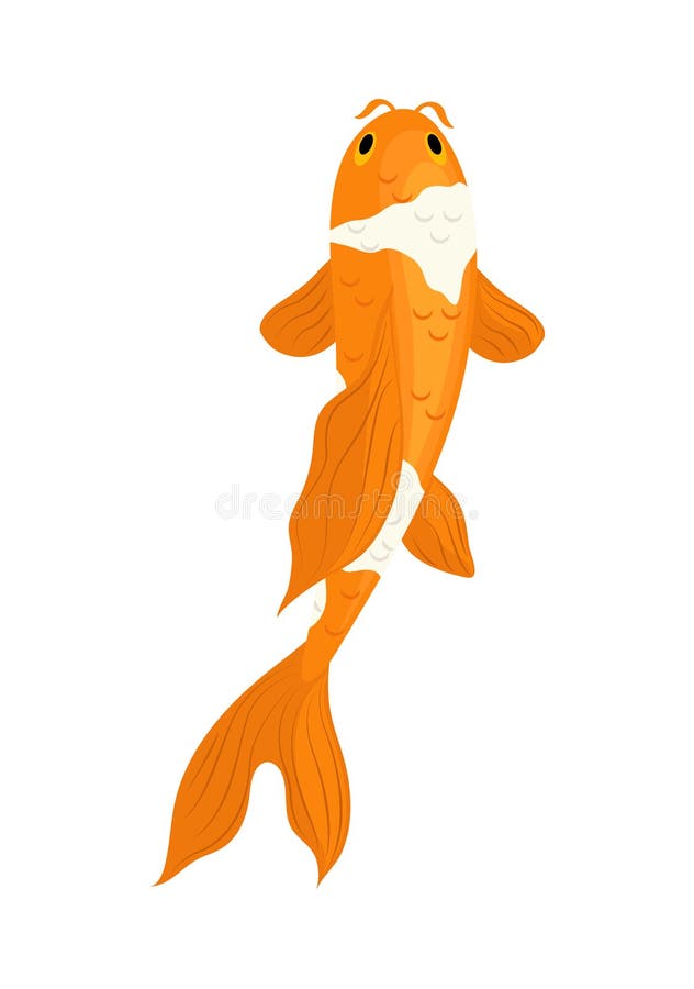 Koi fish icon stock vector. Illustration of asian, beautiful - 237501359