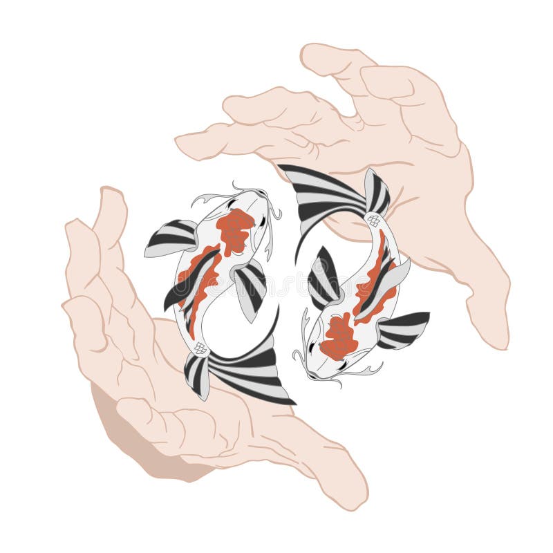 Koi fish in two hands stock illustration. Illustration of hands - 187021736