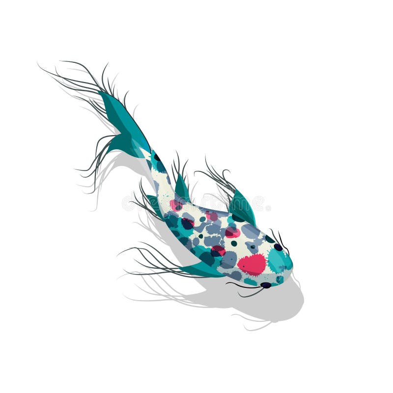 Koi fish vector stock vector. Illustration of design - 132205670